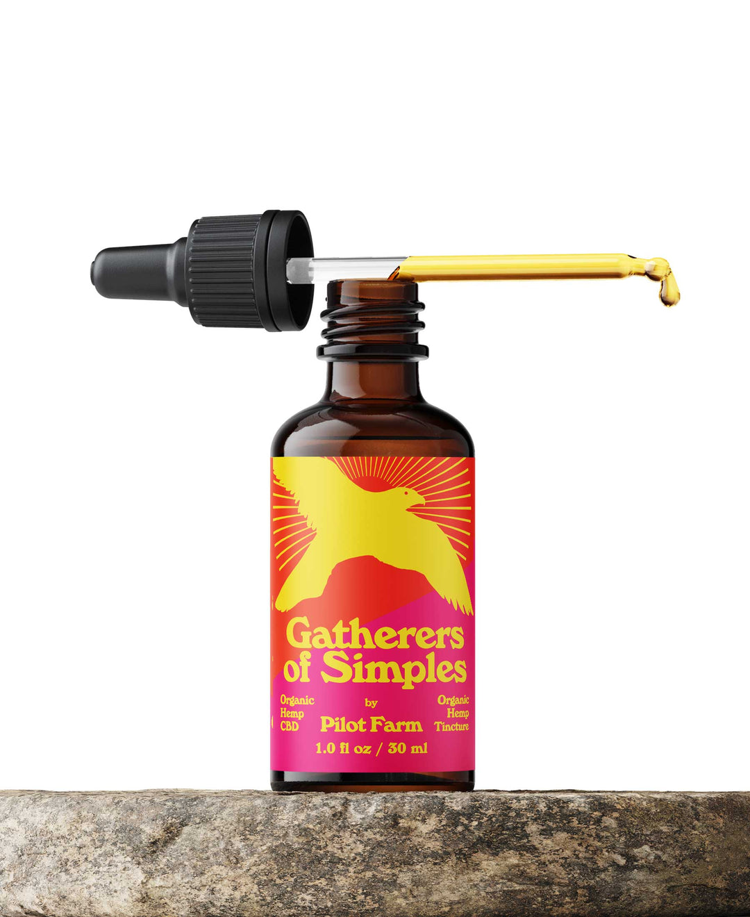 Gatherers of Simples – Pilot Farm